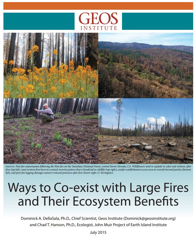 Ways to Co-exist with Large Fires and Their Ecosystem Benefits - Geos ...