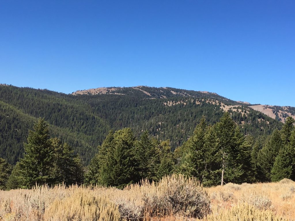 DWPP Funded Projects – Geos Institute